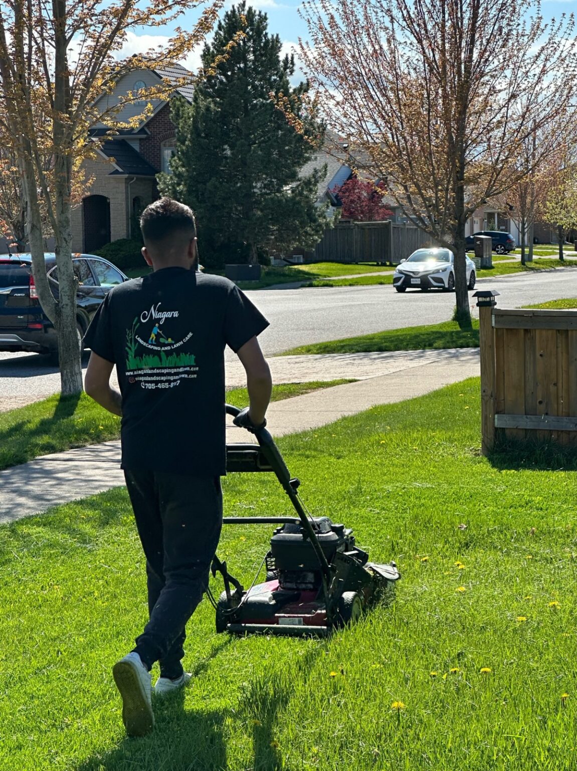 Affordable Niagara Lawn Care, Landscaping & Cleaning in Niagara